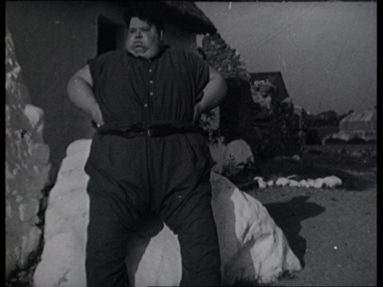 Irish Film Institute -THE FORGOTTEN GENOCIDE: EUROPE’S GYPSIES IN WORLD ...