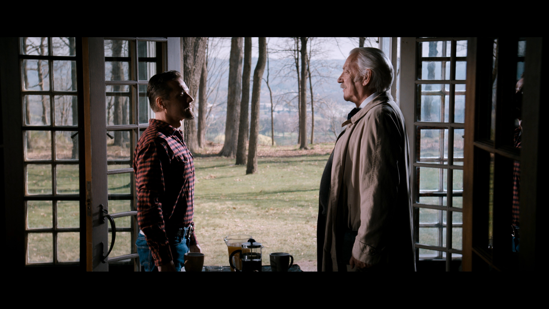 Irish Film Institute -MAN ON THE TRAIN