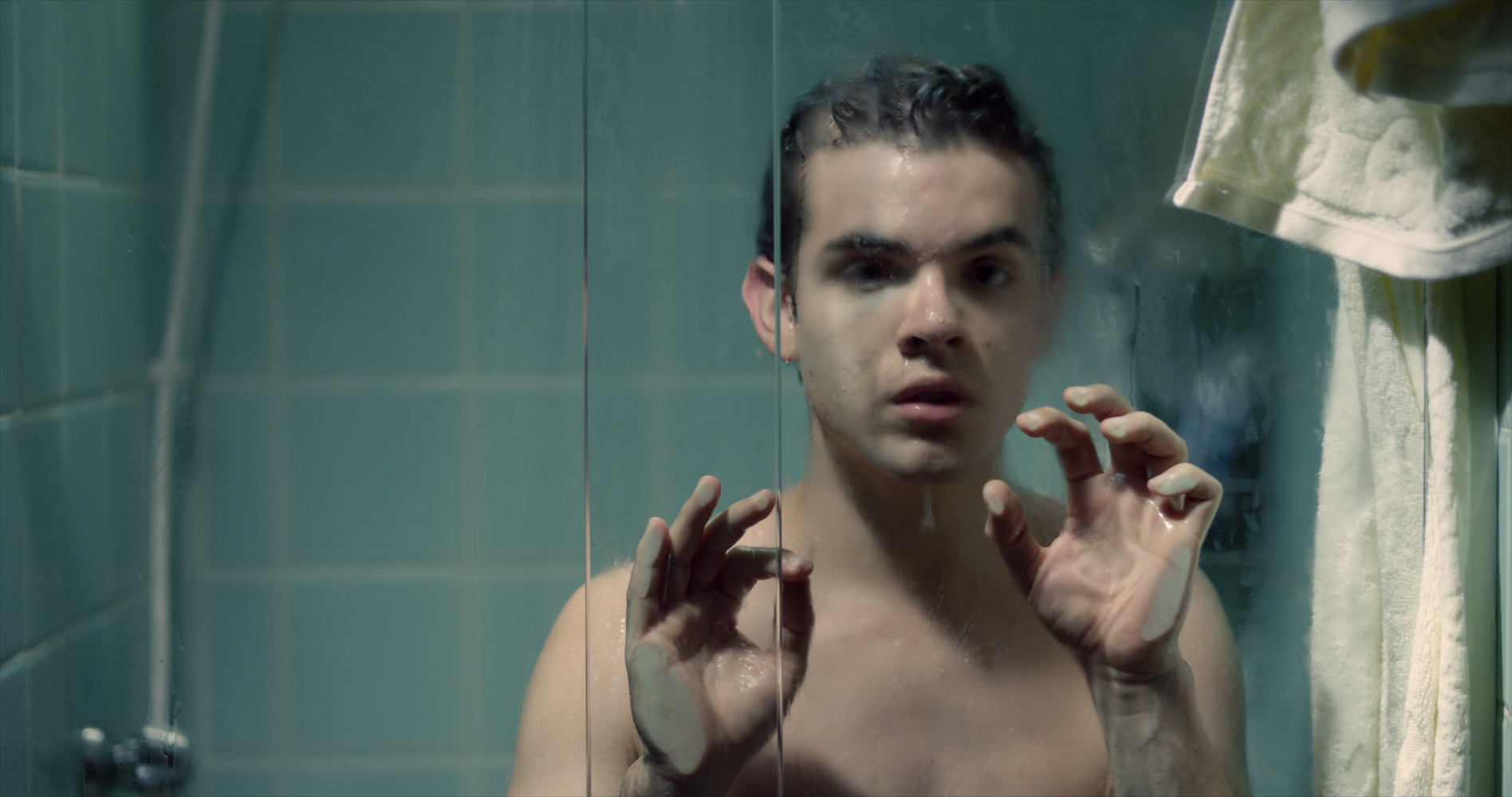 Irish Film Institute -THE WAY HE LOOKS