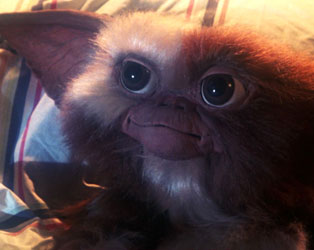 Irish Film Institute -70MM SCREENING: GREMLINS
